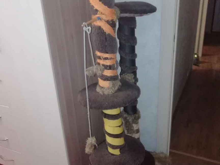 Когтеточка для кошек