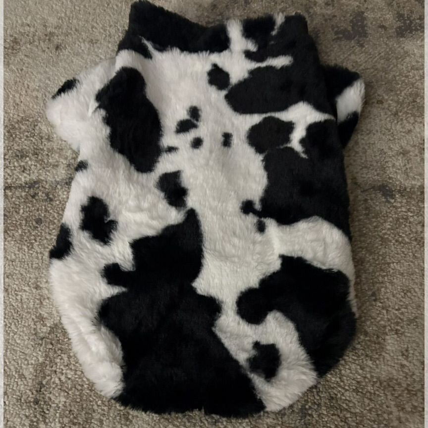 Шубка для собачки и толстовка