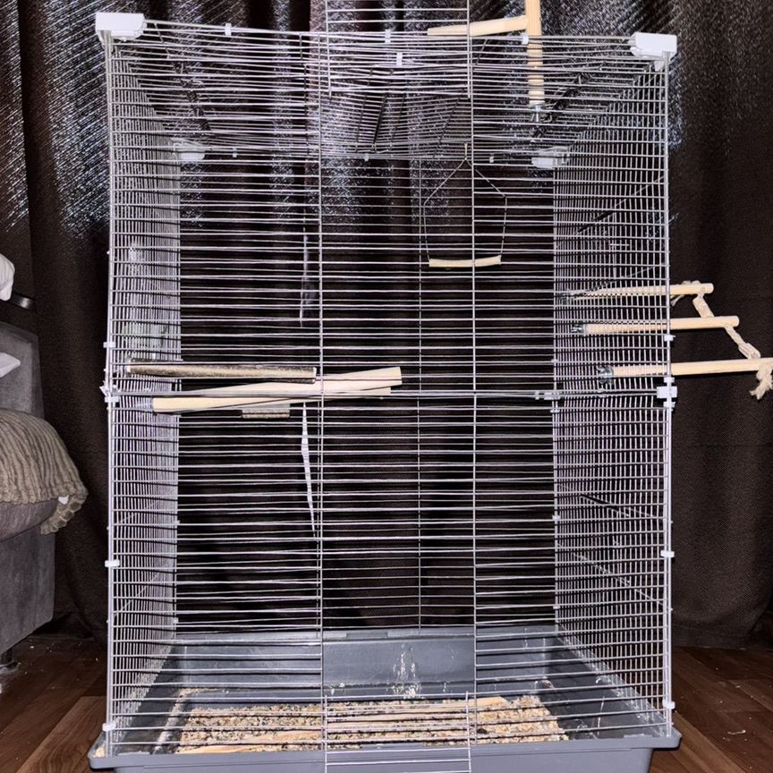 Попугай корелла с клеткой