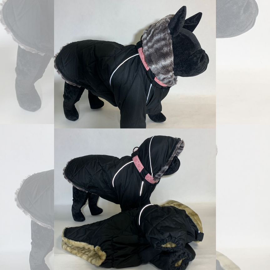 Одежда для собак