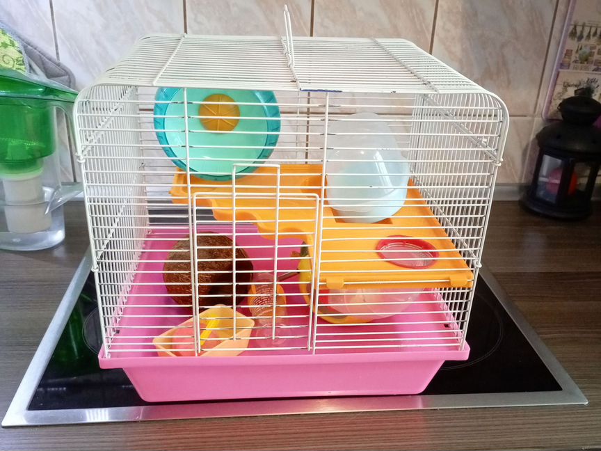 Клетка для грызуна и куча всего