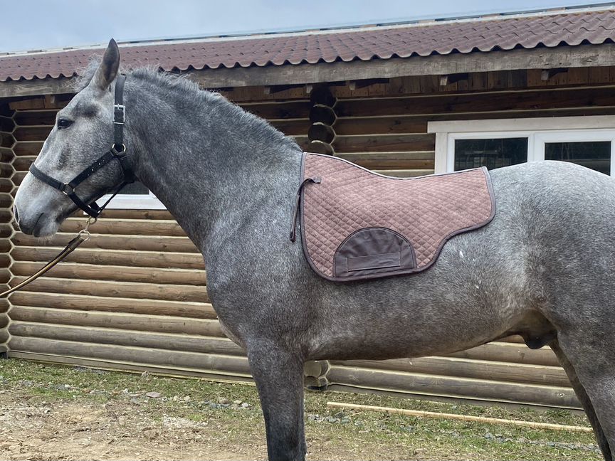 Вальтрап натуральная кожа