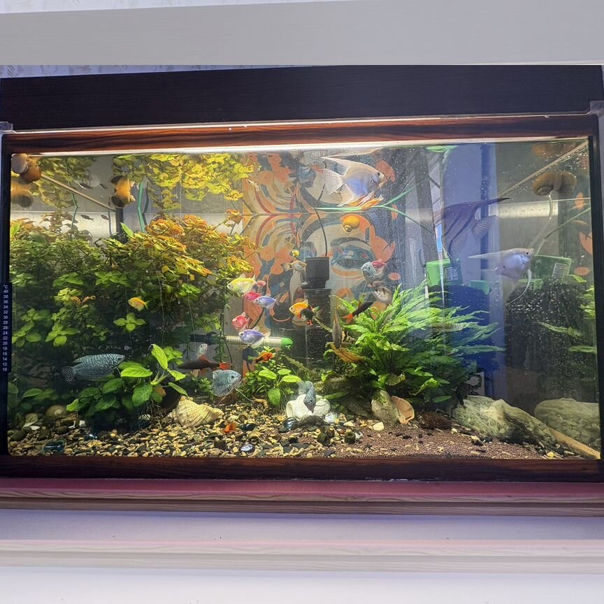 Аквариум с рыбками 150л