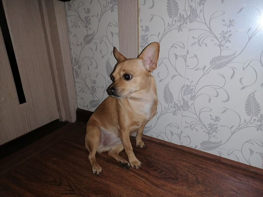 Ищу кабеля для вязки