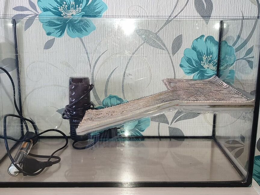 Аквариум для красноухой черепахи