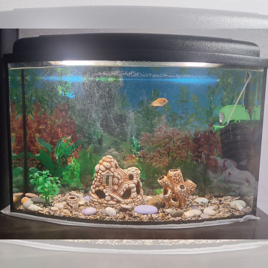 Аквариум