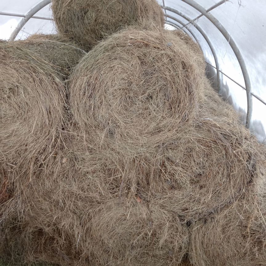 Сено в мини рулонах