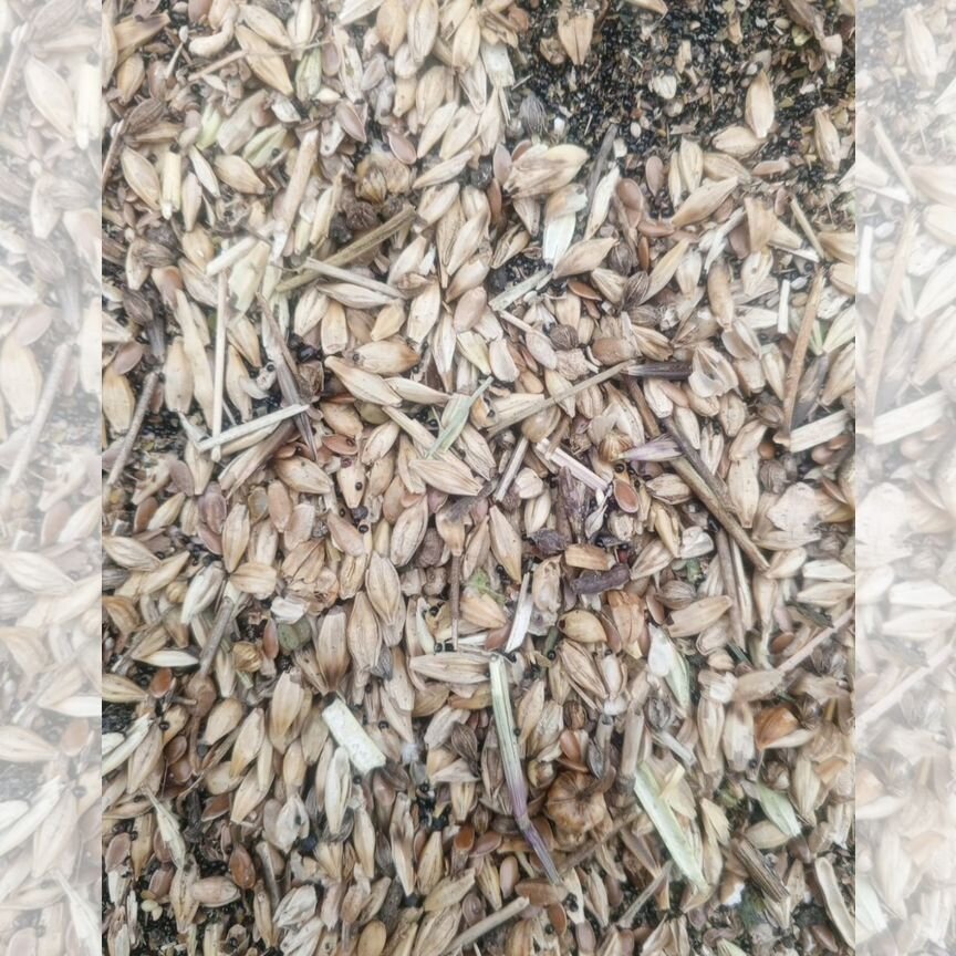 Зерноотходы