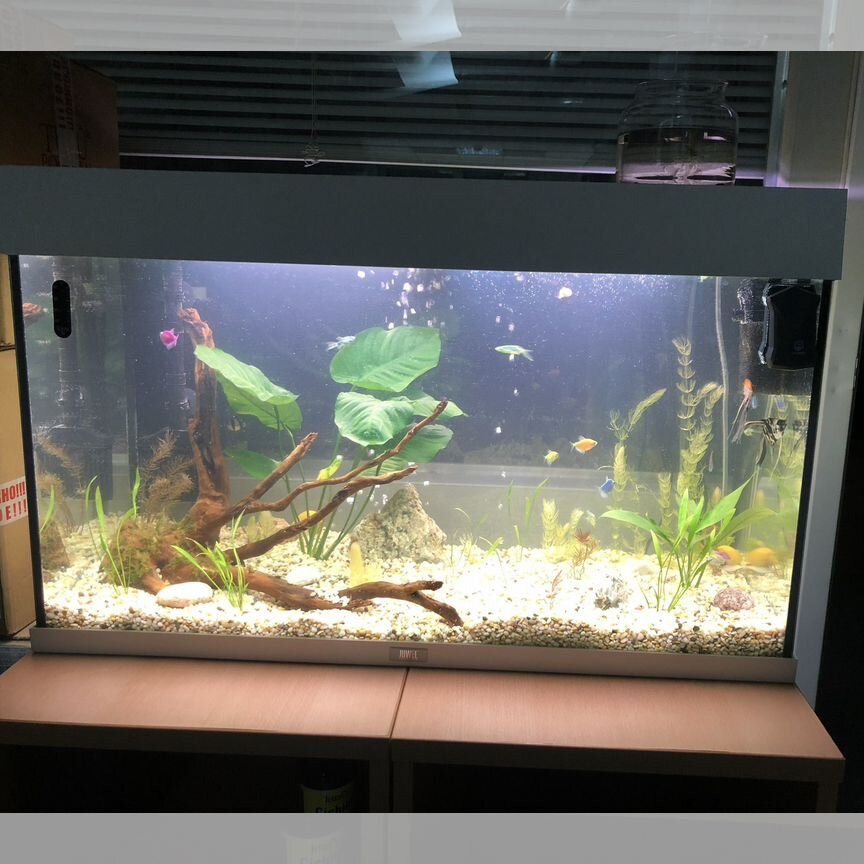 Аквариум Juwel 125 литров