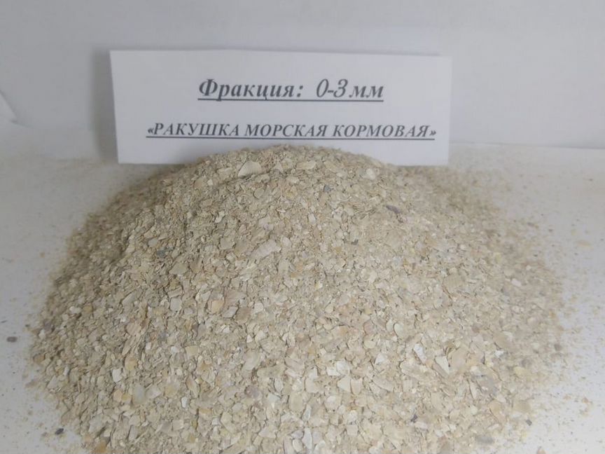 Ракушка морская кормовая