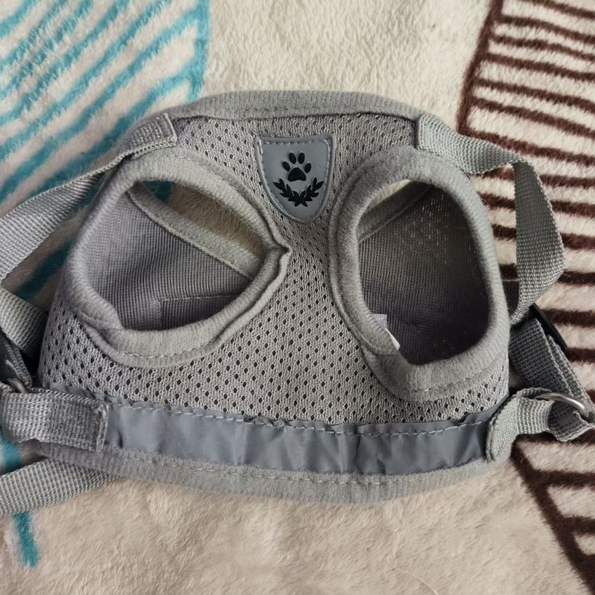 Шлейка и поводок для кошек и собак