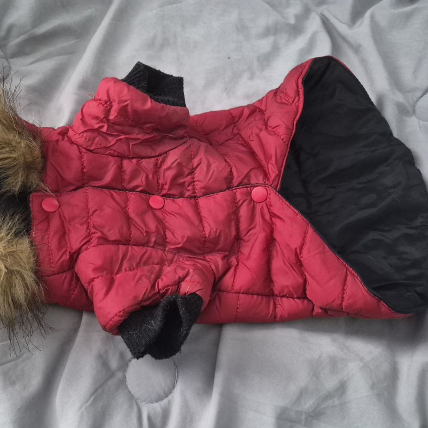 Куртка для животных