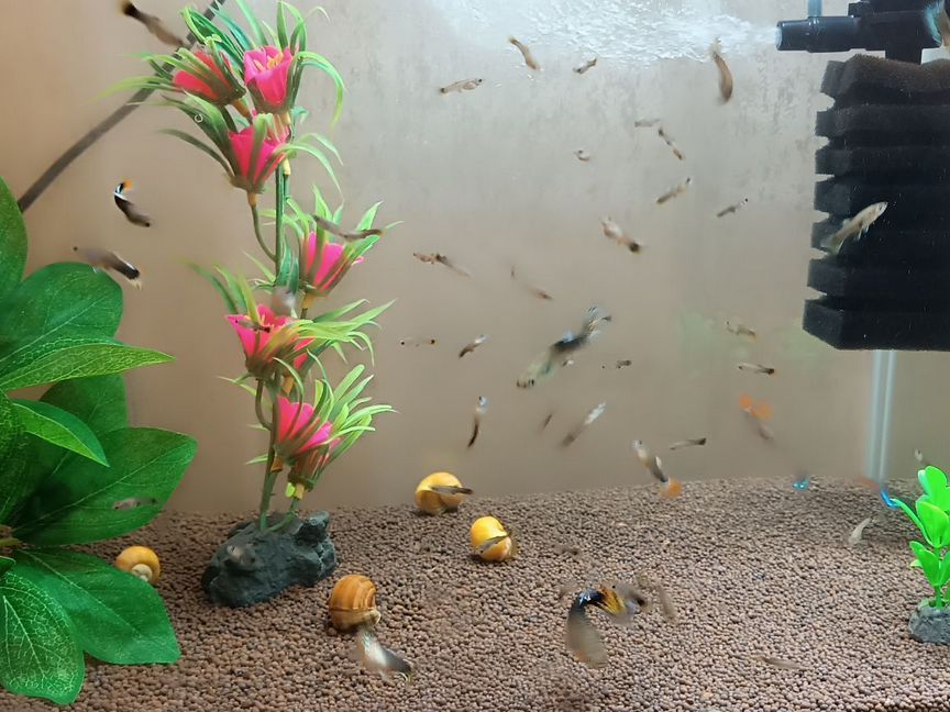 Аквариум 80 л