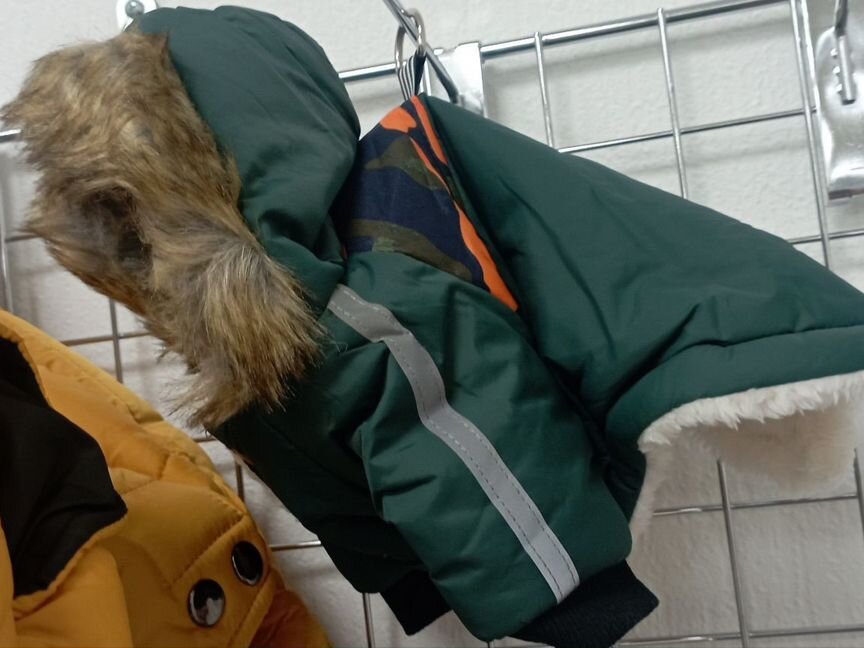 Одежда для собак