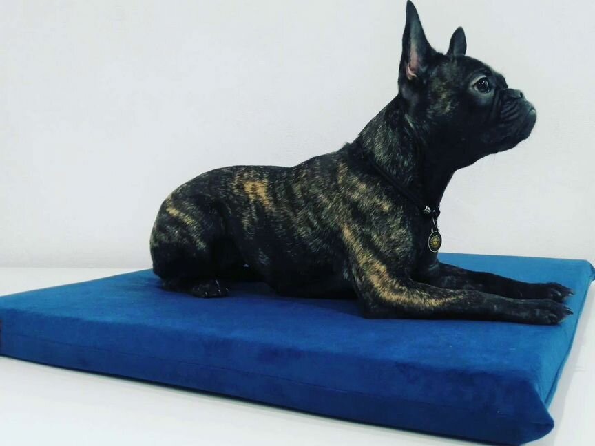 Матрас/лежак для собак