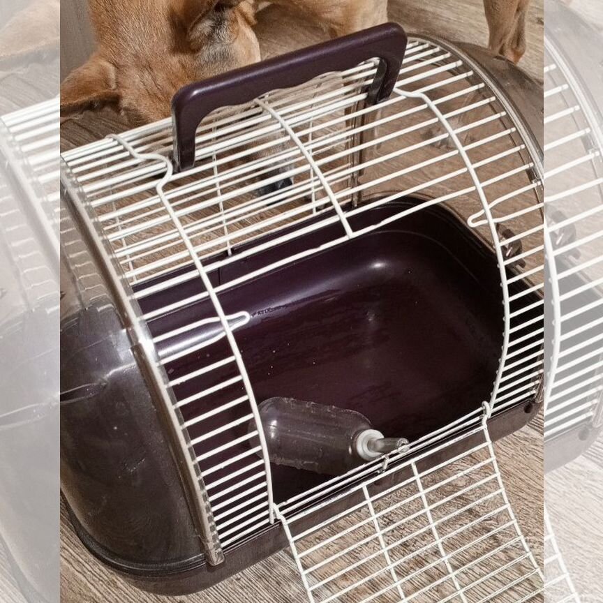 Клетка для грызунов бу