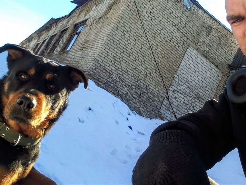 Одам сабаку бесплатно