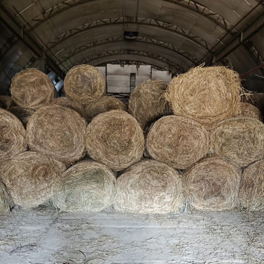 Продам сено в рулонах