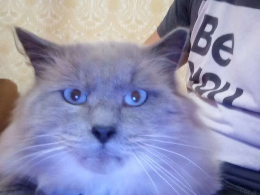 Невская маскарадная