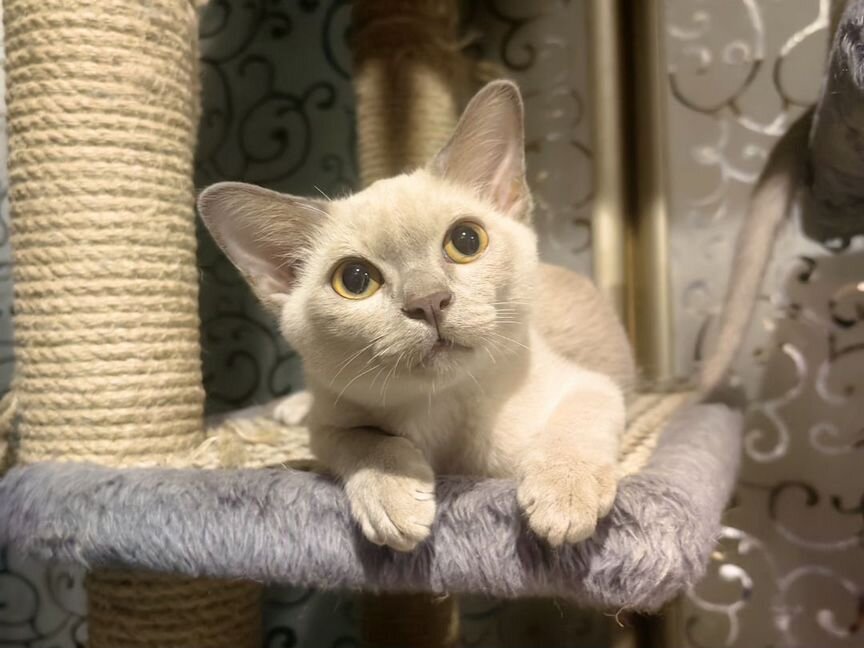 Мальчик готов к переезду