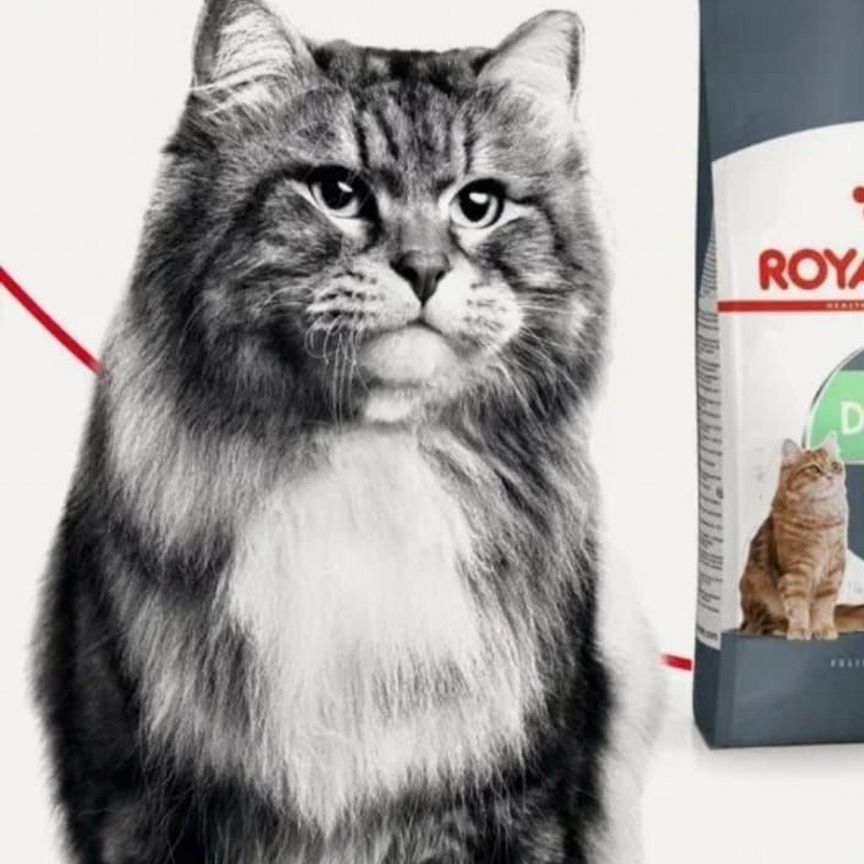 Корм Royal Сanin для кошек и собак