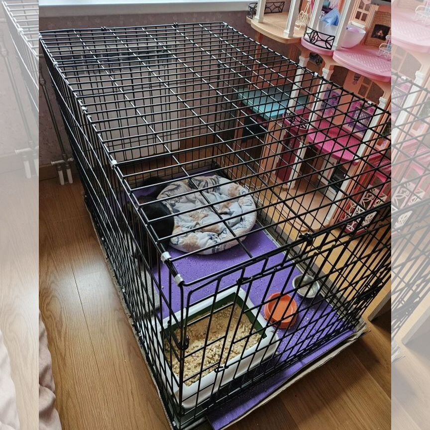 Клетка для собаки или кошки
