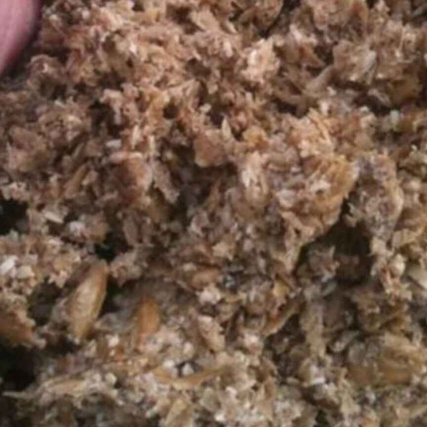 Пивная дробина