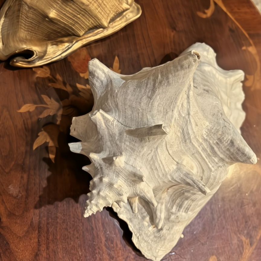 Ракушки для аквариума,большая, средняя