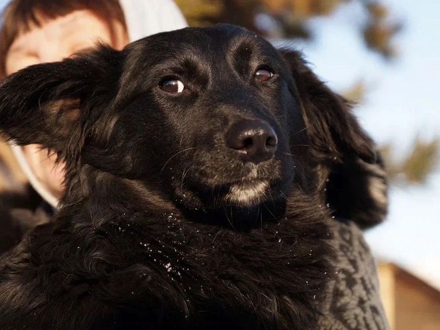 Тучка ждёт свою семью