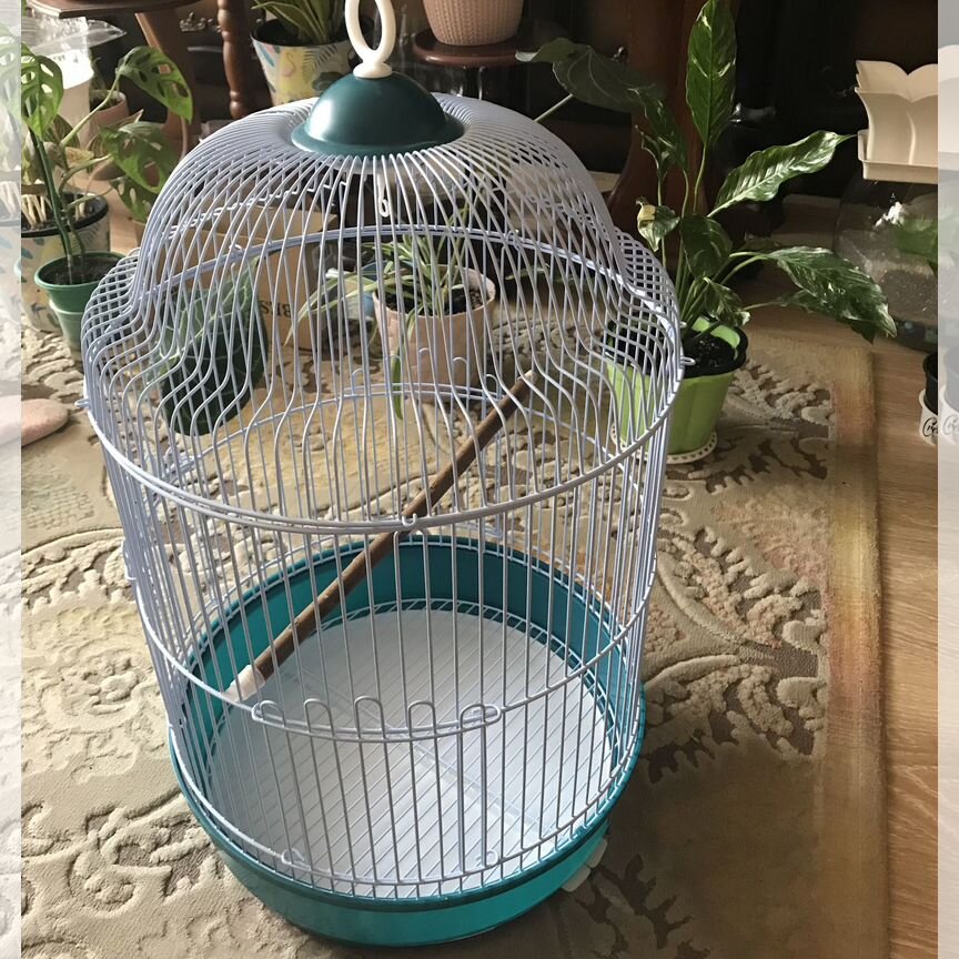 Клетка для мелких птиц