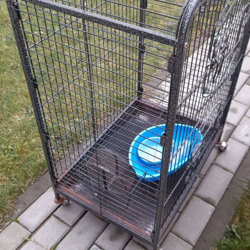 Клетка для грызунов большая