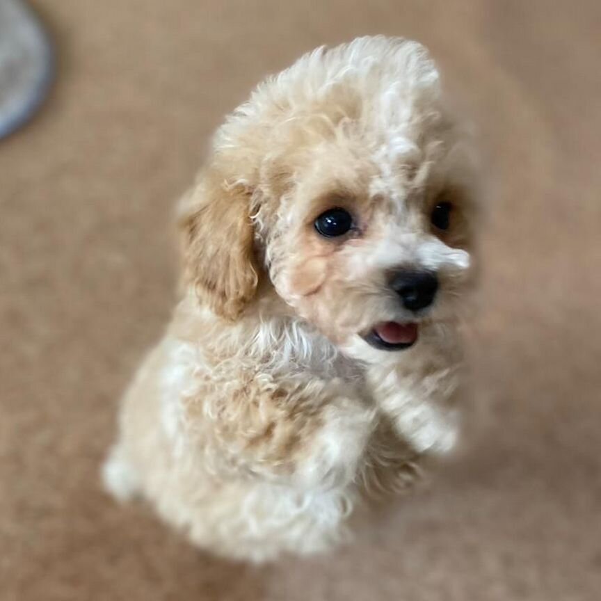 Милая малышка