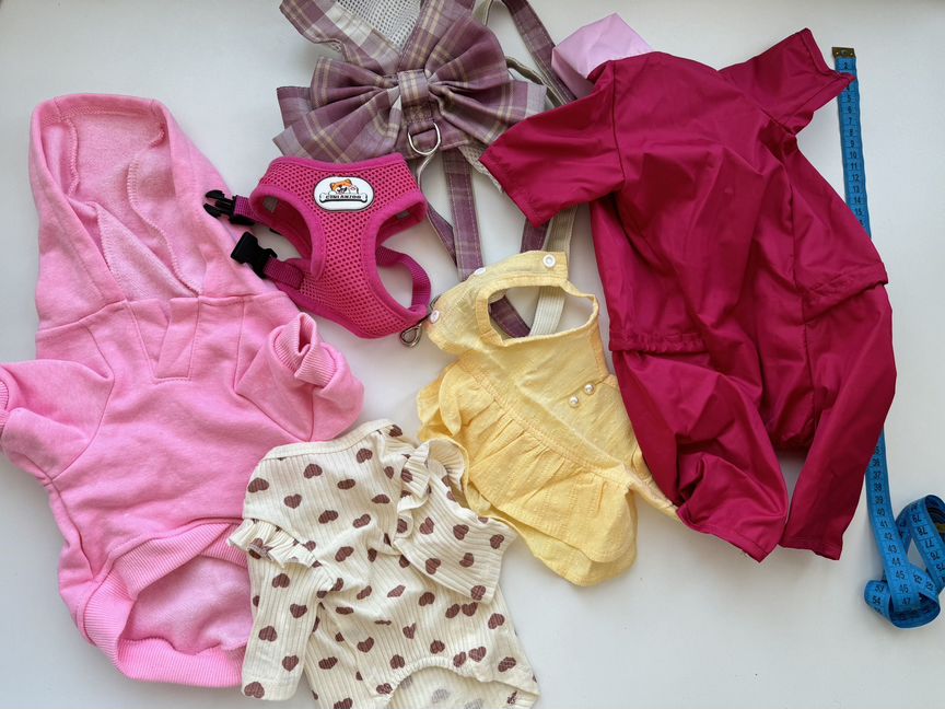 Одежда для собак