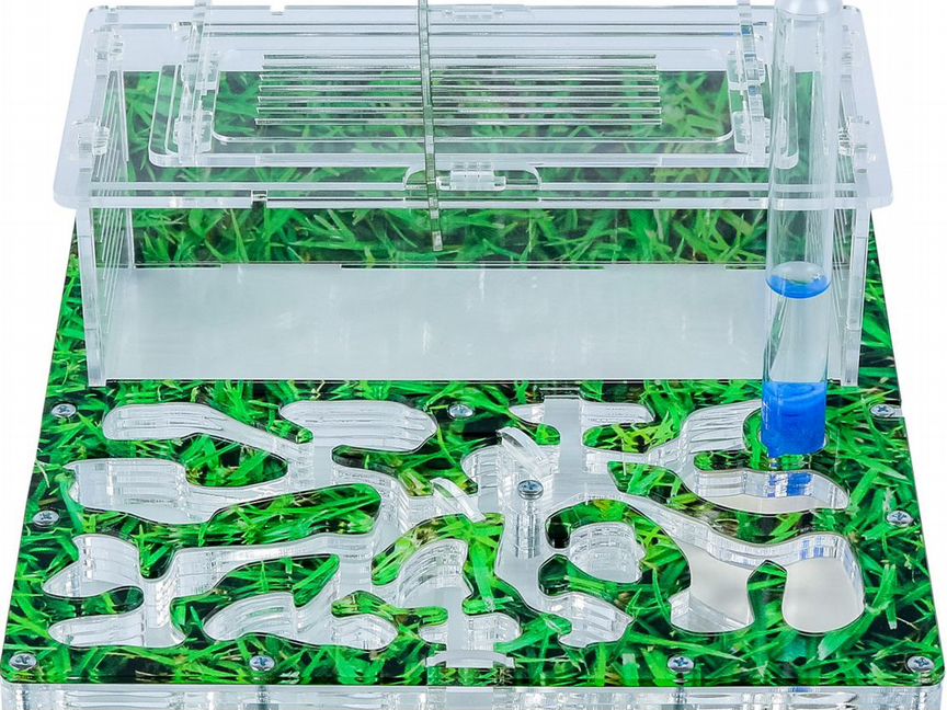 Муравьиная ферма на заказ по вашим эскизам