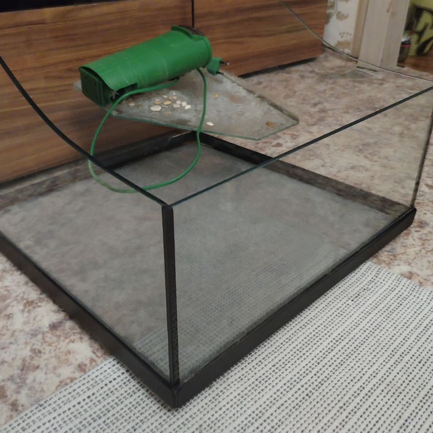 Черепашник