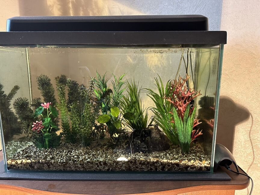 Аквариум 100 литров