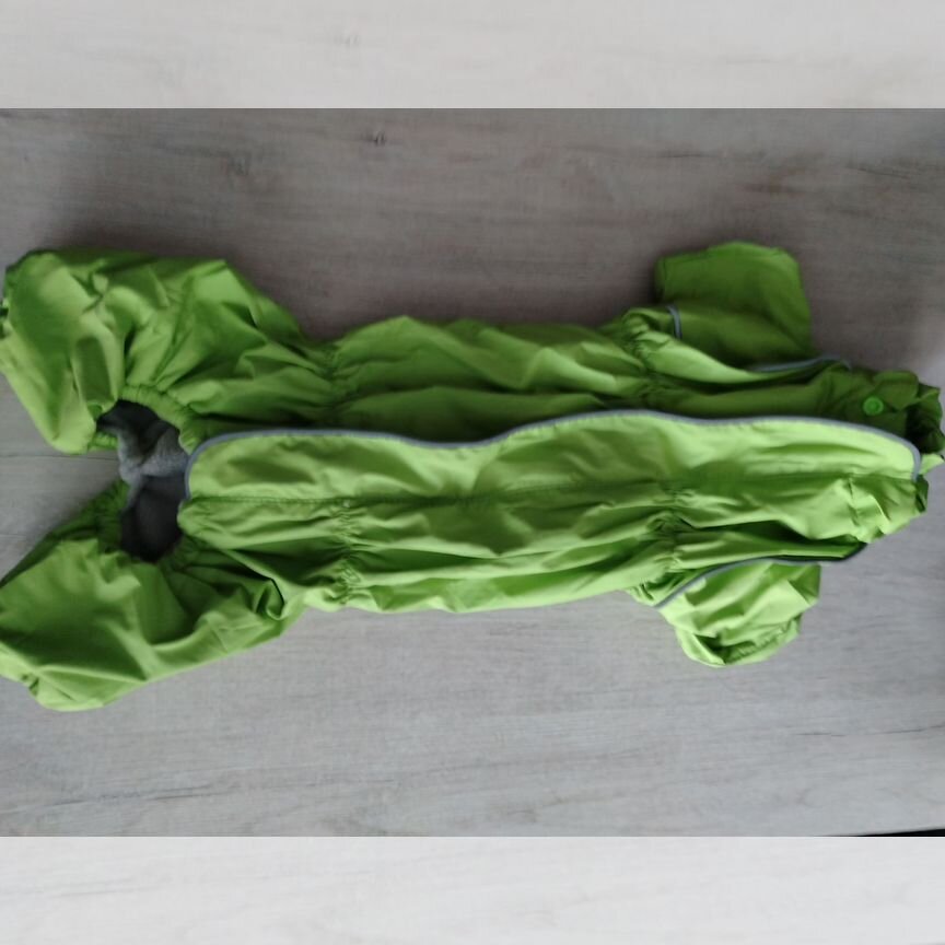 Одежда для собак