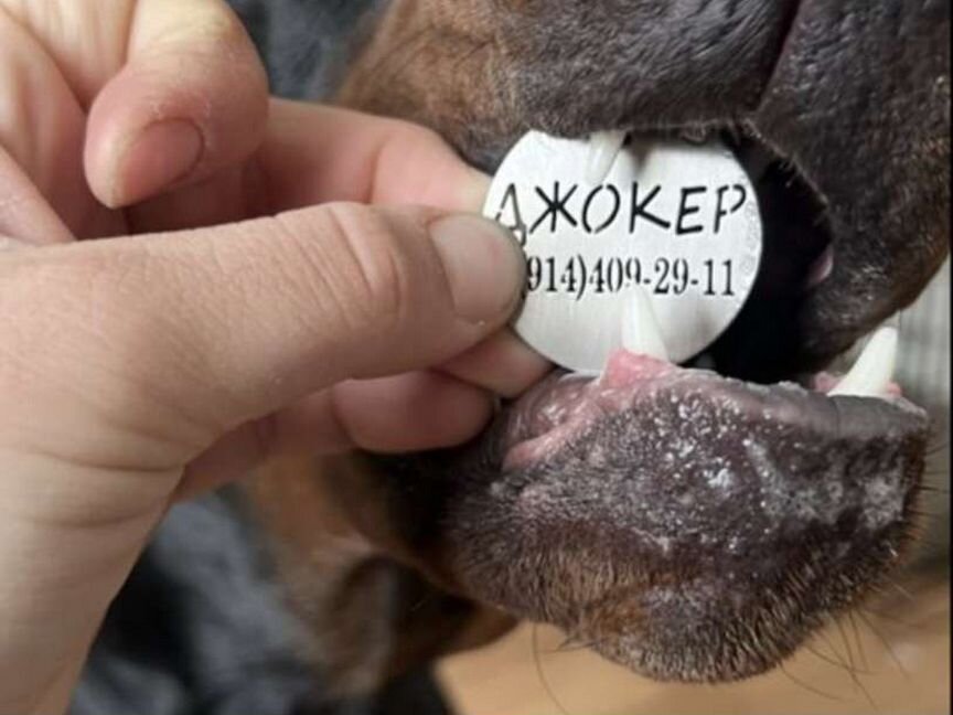 Адресник, жетон, брелок