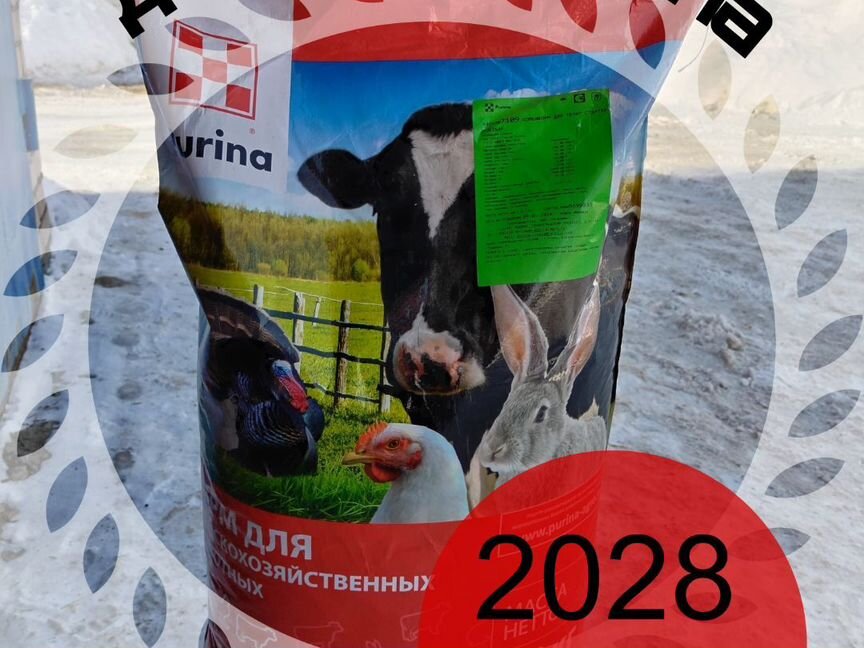 Старт для телят