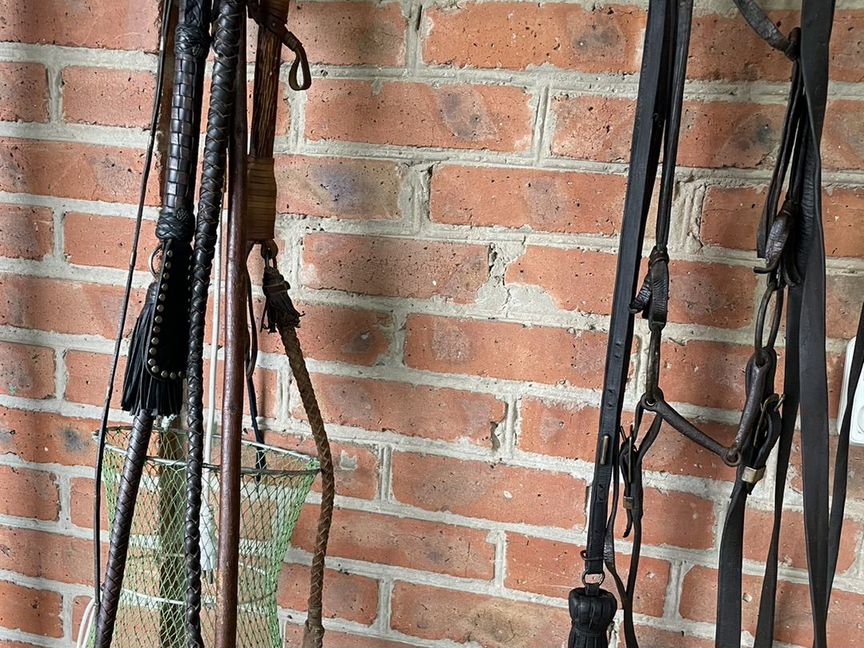 Кнут и три нагайки