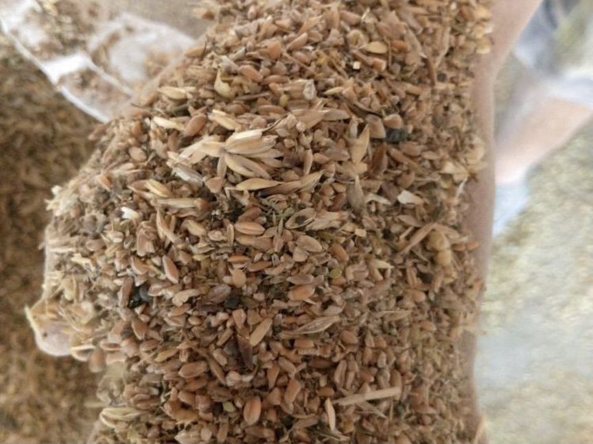 Зерноотходы пшеничные