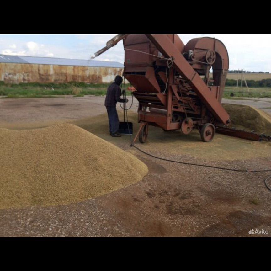 Пшеница, дробленка, гречневые, пш, ячм отходы
