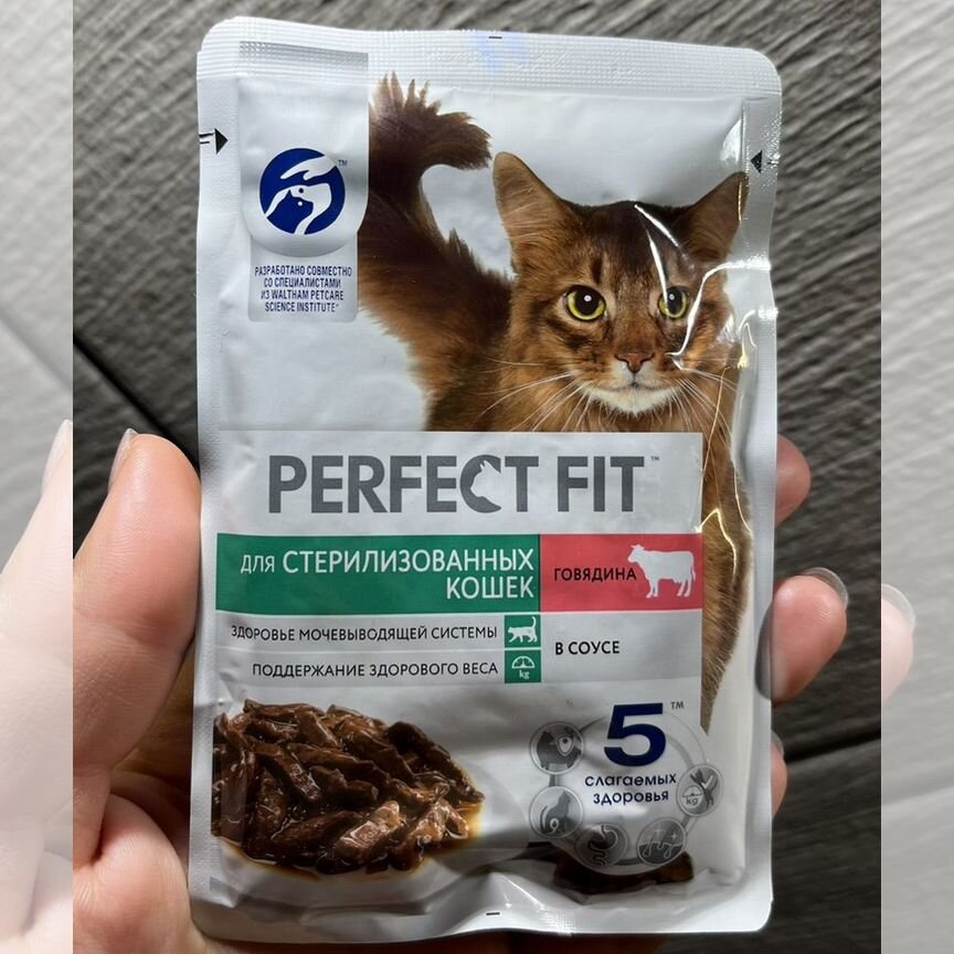 Кошачий корм влажный