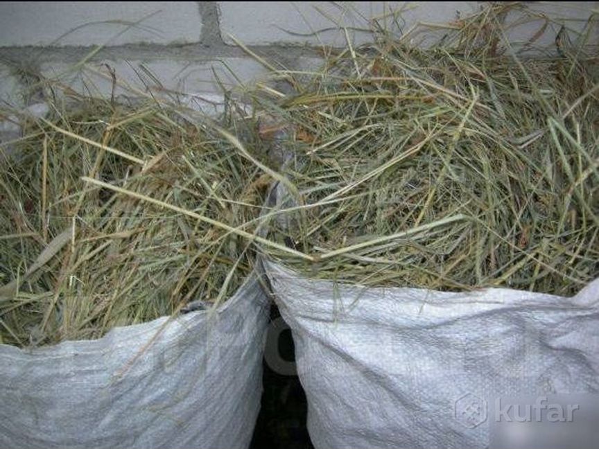 Сено в мешках зелёное разнотравие