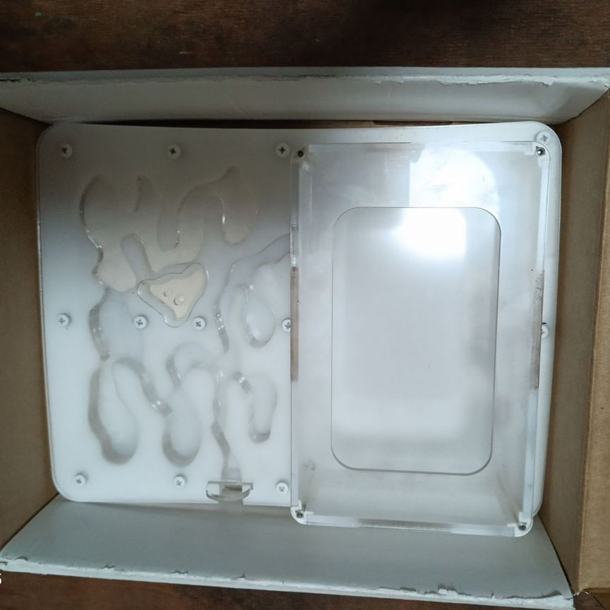 Белый дом для муравьев