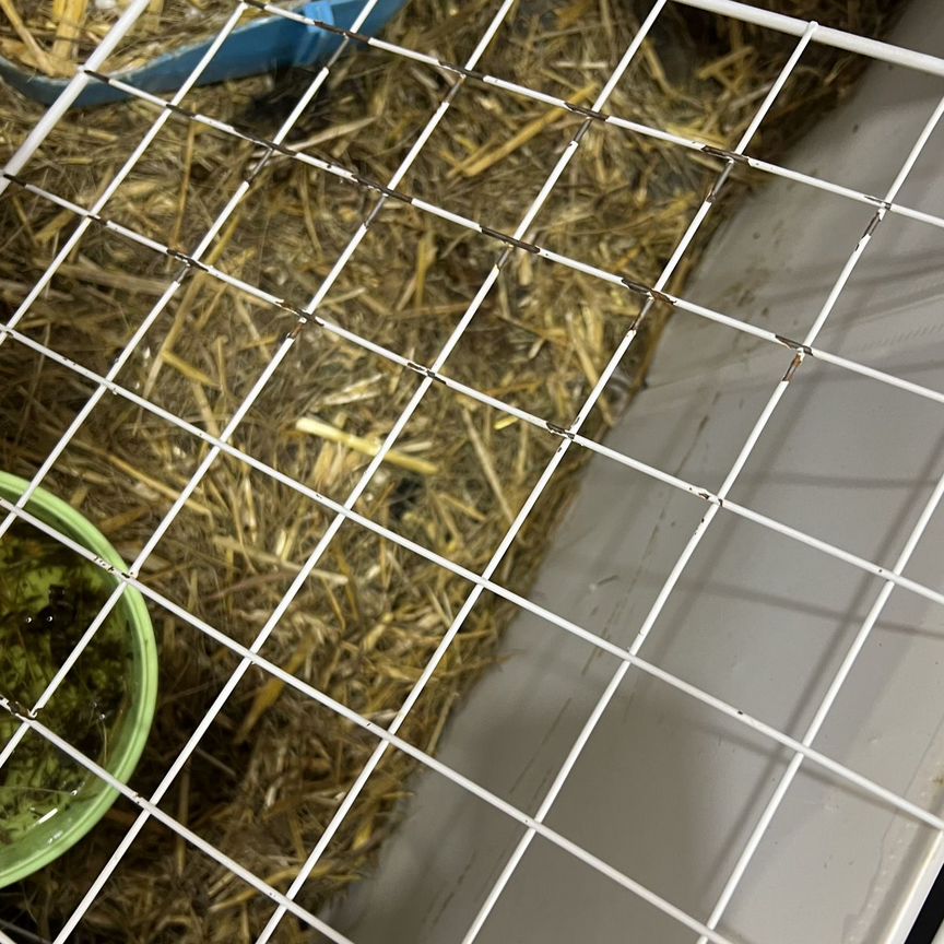 Вальер огромный белыйс непромокаемым дном