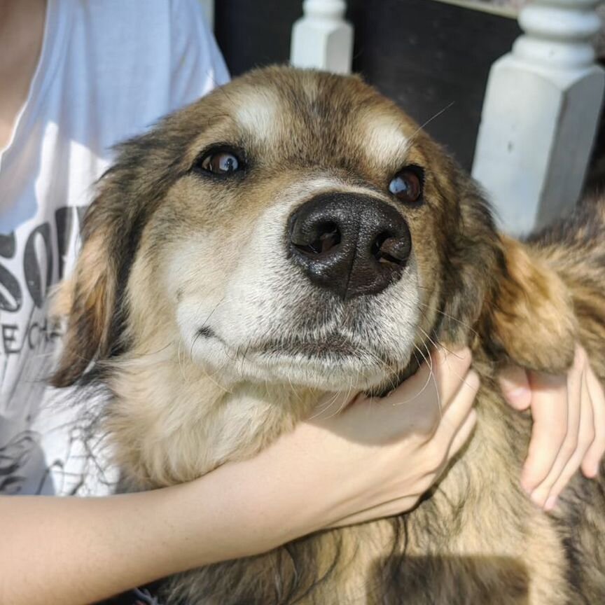 Очень хороший мальчик