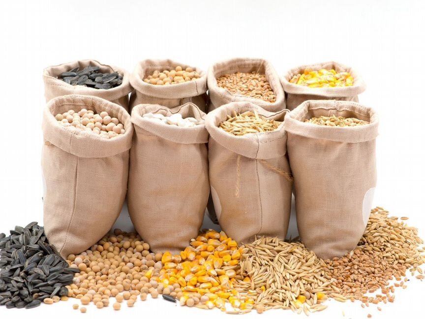 Пшеница, ячмень, овес, рожь, фураж, отруби