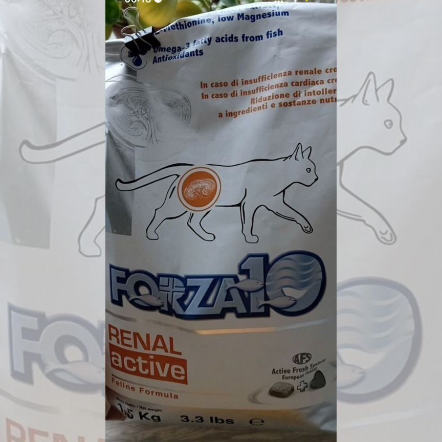 Forza 10 renal корм для кошек
