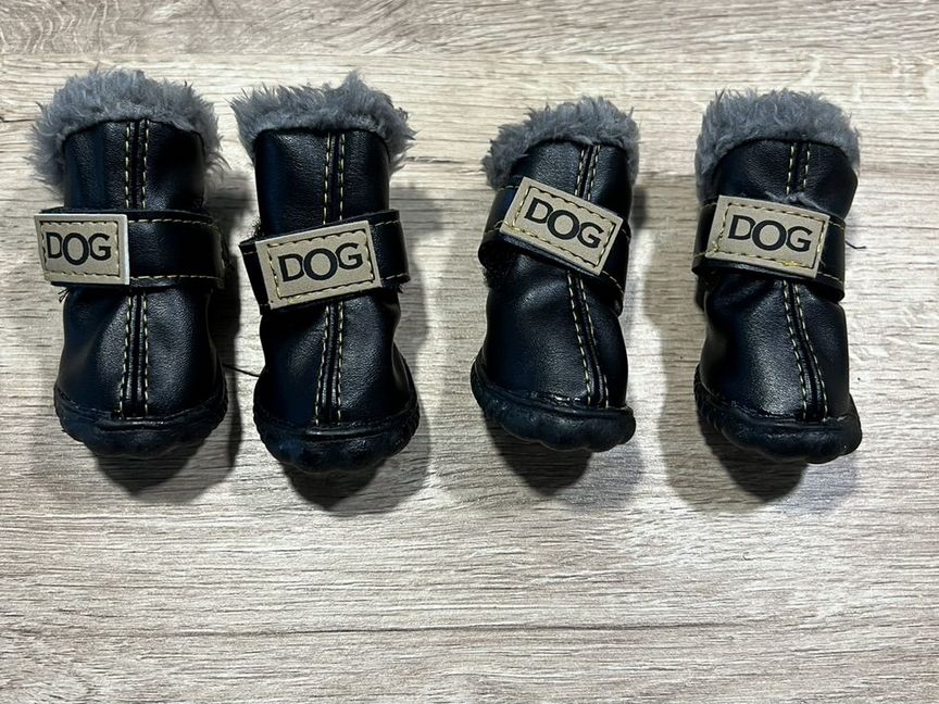 Обувь для собак мелких пород